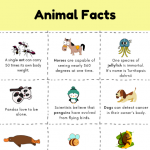 Fun Facts for Kids | 30+ facts for kids - Every kid should know